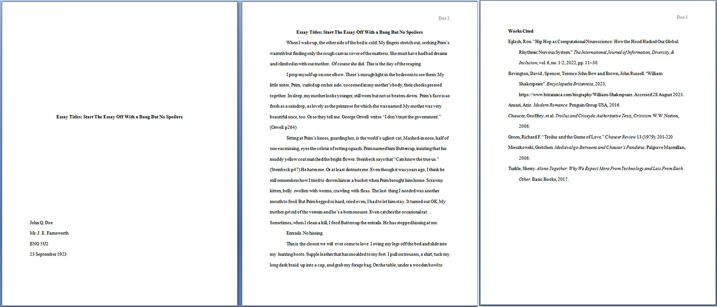 Format #2: Essay Style