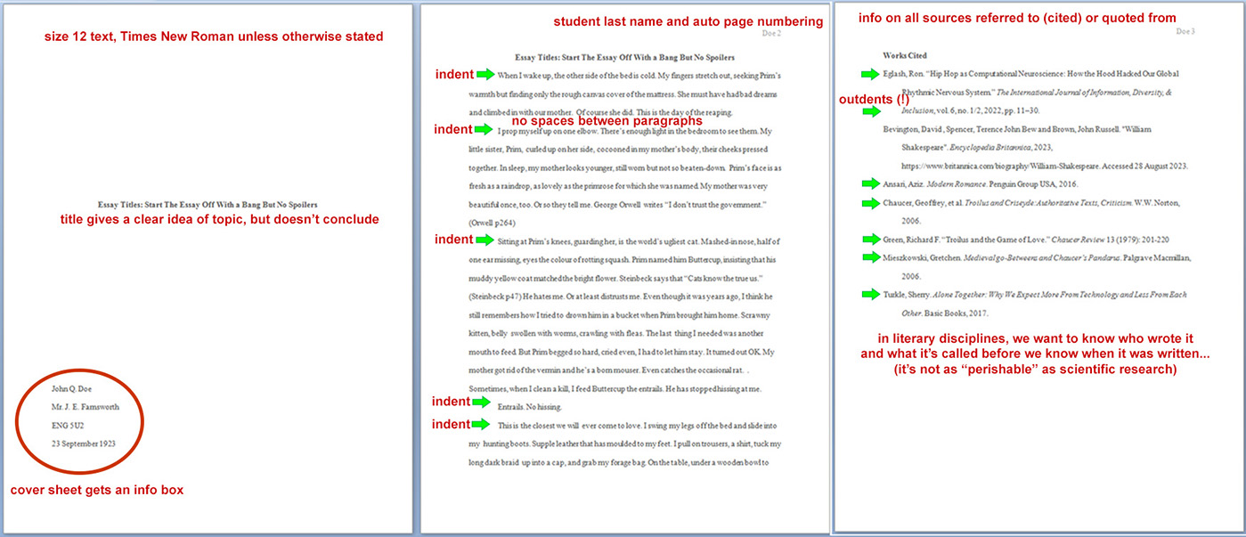 Format #2: Essay Style